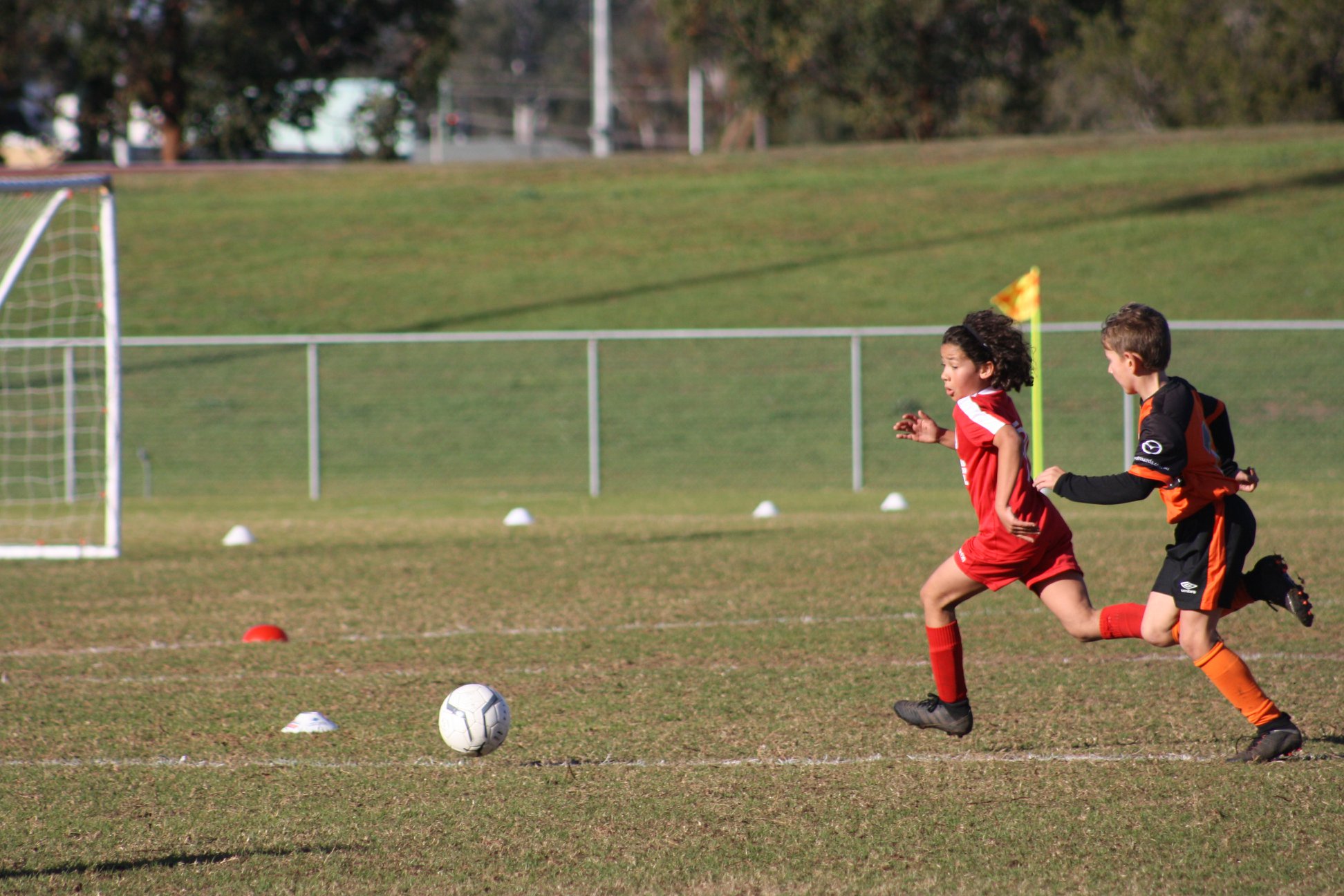 ABOUT NFC - Nepean Football Club